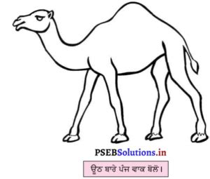 Image result for Punjabi Class 3rd PSEB Lesson 8 Exercise