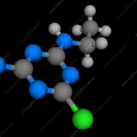 Image result for Molecular Science Model