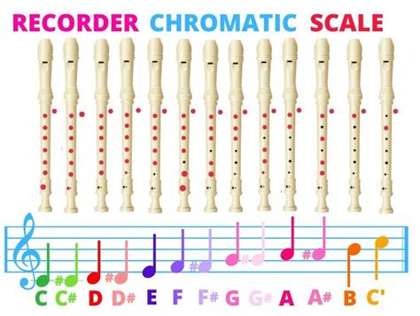 Image result for Recorder Instrument Notes