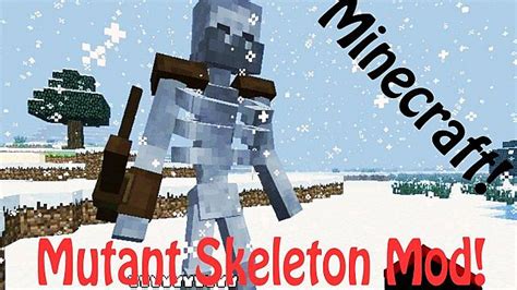 Image result for Minecraft Skeleton Mod