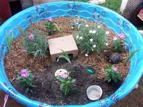 diy tortoise habitat - Google Search | Turtle habitat, Tortoise habitat ...