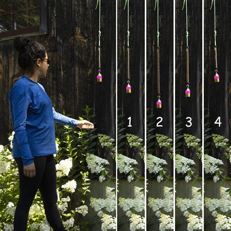 Image result for AP Physics Spining Spring