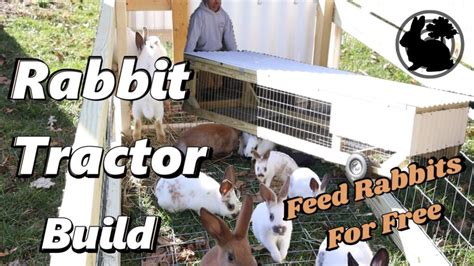 Image result for Rabbit Tractor Design