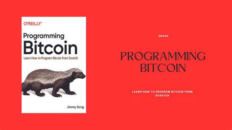 Image result for Programming Bitcoin Book Setup