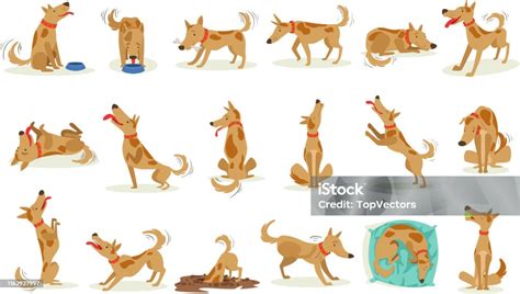 Image result for Perfectly Normal Dog