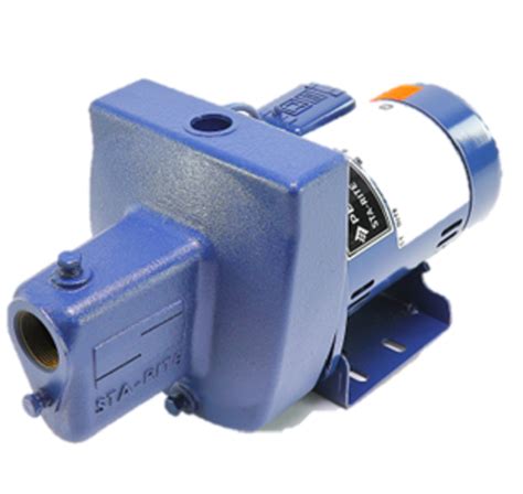 Image result for Sta-Rite Pump with Handle
