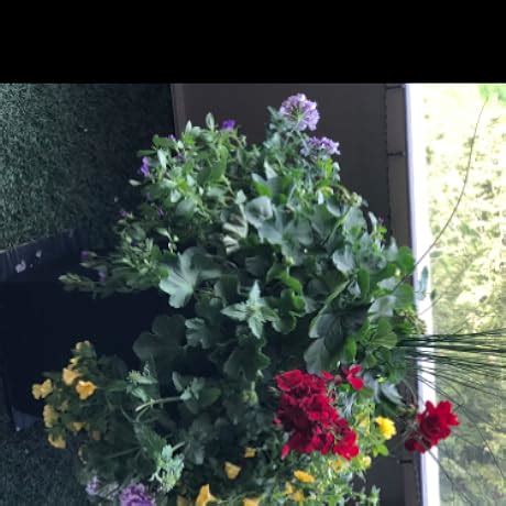 Image result for Using Raspberry Pi 3 a Computer Board