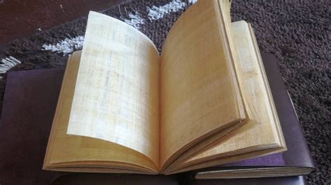 Image result for Papyrus Simple