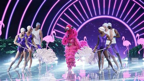 Image result for Flamingo Masked Singer Reveal
