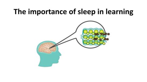 Image result for Sleep Improves Learning