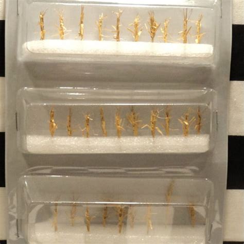 Image result for HO Scale Corn Stalks