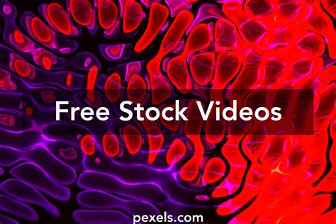 Image result for Cell Transformation