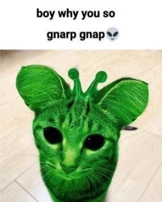Image result for Alien Cat Meme Origin