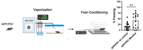 Image result for Menthol Inhalation