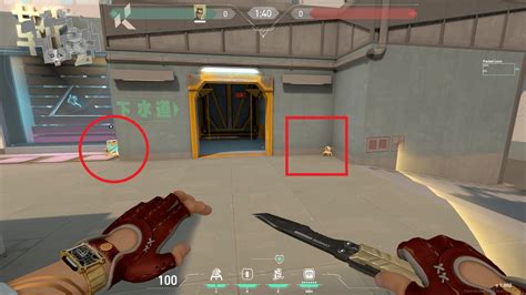 Image result for Advanced Chamber Guide Valorant