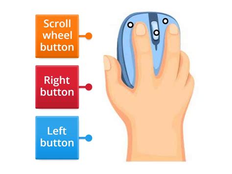 Image result for Computer Mouse Reference