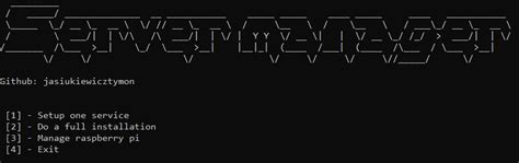 Image result for Raspberry Server