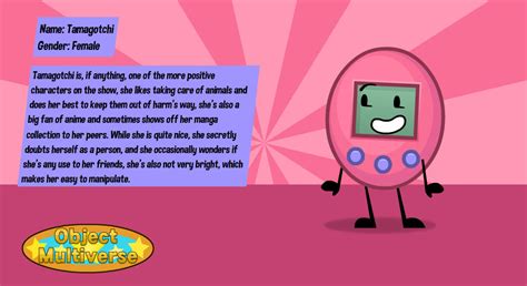 Image result for Object Multiverse