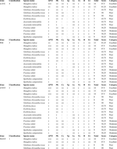 Image result for API Score