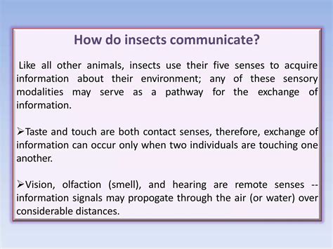 Image result for Cricket Insect Communication