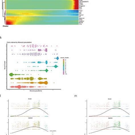 Image result for Polycarbonate Process