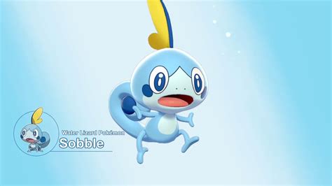 Image result for Sobble Evolves into Drizzle