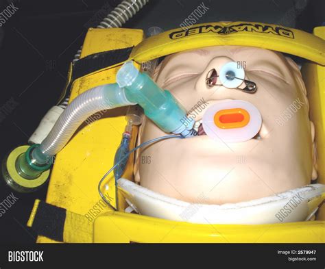 Image result for Intubate