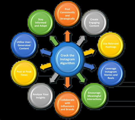 Image result for Instagram Algorithm Statistics