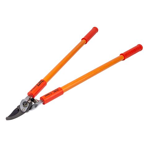 Image result for Tree Lopper Lift