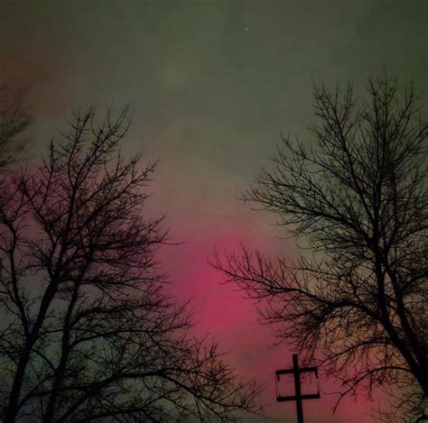 Image result for Apple Contacts Tutorial