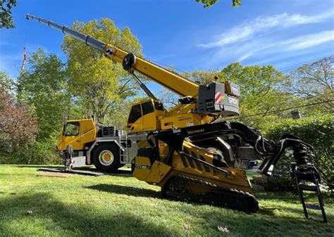 Image result for Engine Lift On a Tree