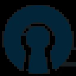 Image result for OpenVPN GUI Icon