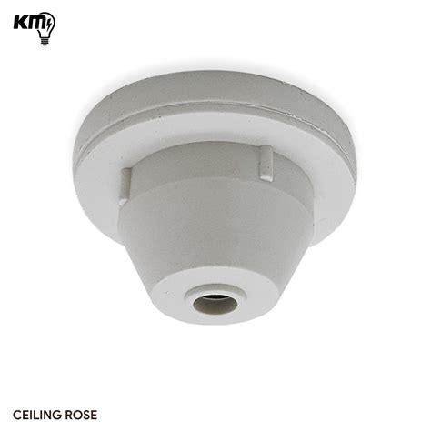 Image result for Ceiling Light Rose