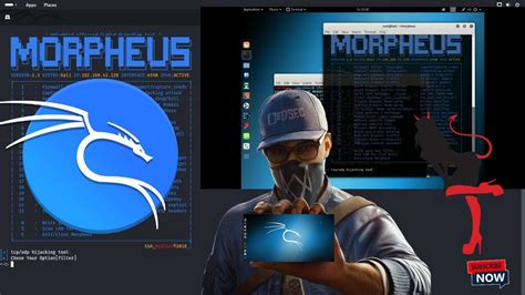 Image result for Python Morpheus 4