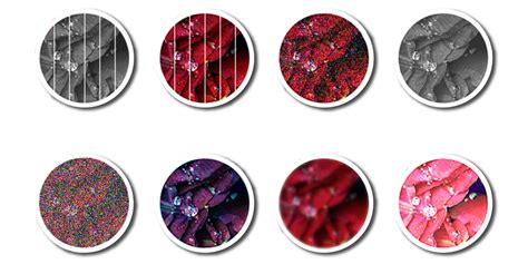 Image result for Ink Problems with Epson Printer