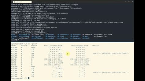 Image result for YouTube Linux Networkchuck PostgreSQL