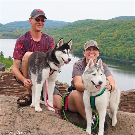 Image result for Snow Dogs Vlogs Mail