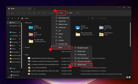 Image result for File Explorer View Hidden Files