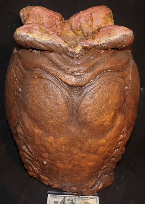 Image result for Alien Predator Egg