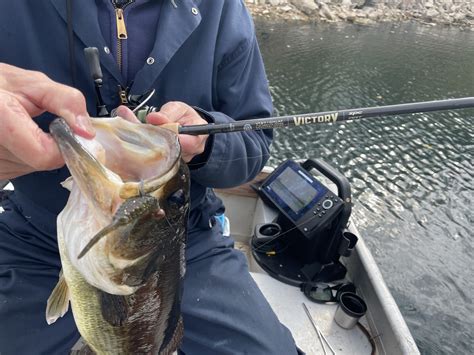 Image result for Portable Fish Locators