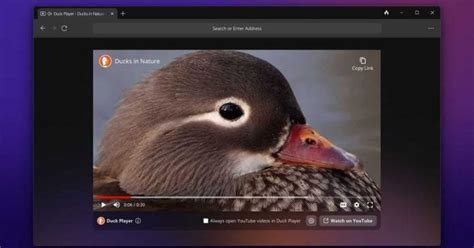 Image result for How to Install DuckDuckGo Edge
