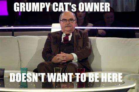 Image result for Grumpy Cat Owner