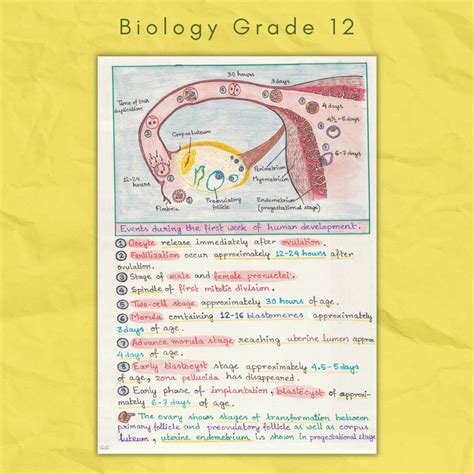 Image result for Life Science Grade 12 Notes PDF Download