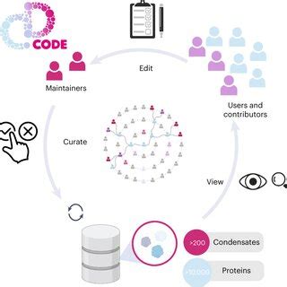 Image result for How to Use Code CD