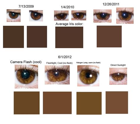 Image result for Eye Color Check