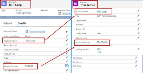 Image result for Create Cross Object Formulas