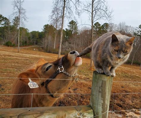 Image result for Totally Unpredictable