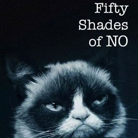 26 Funny Grumpy Cat Memes That Will Put a Smile on Your Dial