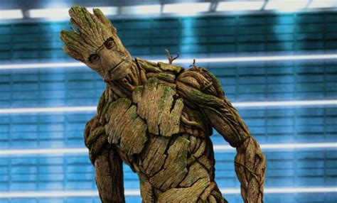 Image result for Groot Information