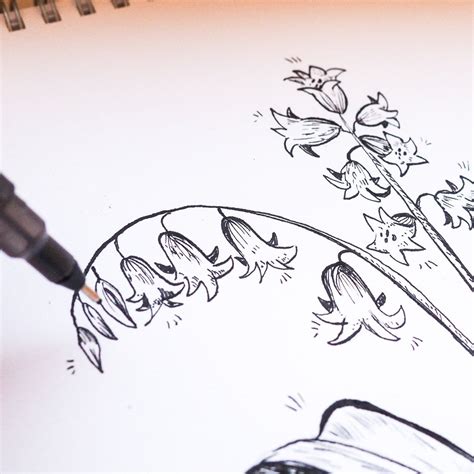 Image result for How to Draw a Tree in Hatching